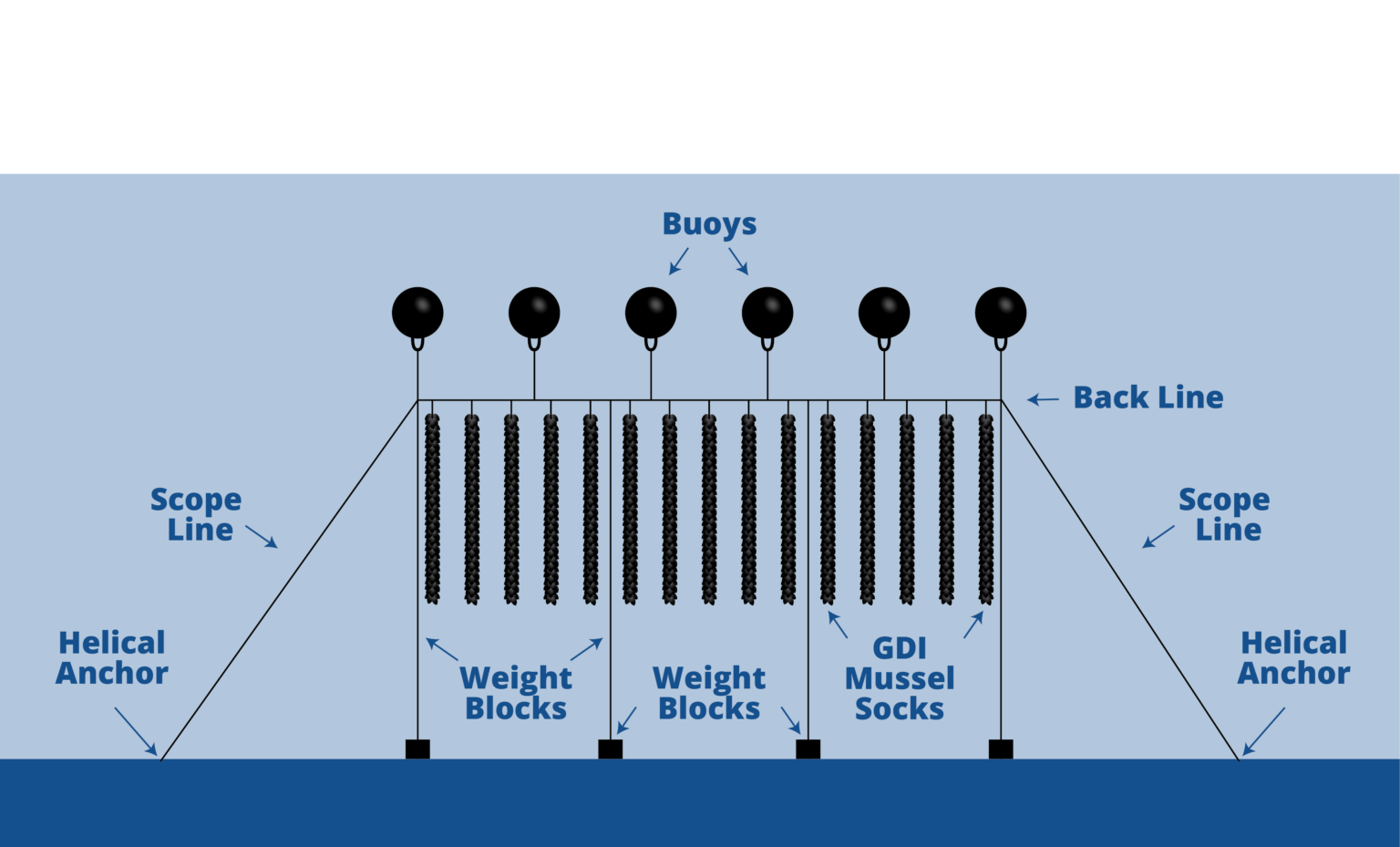 Mussel Farming – Tidal Marine